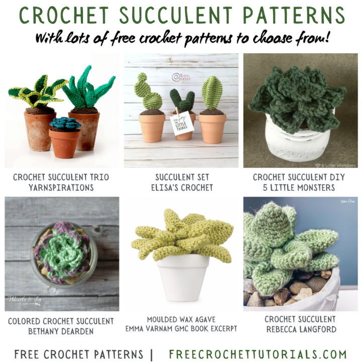 Crochet Succulent Patterns • Free Crochet Patterns and Tutorials