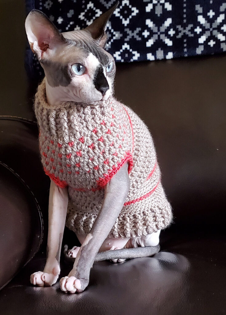 11 Purr-fectly Adorable and Free Crochet Cat Sweater Patterns