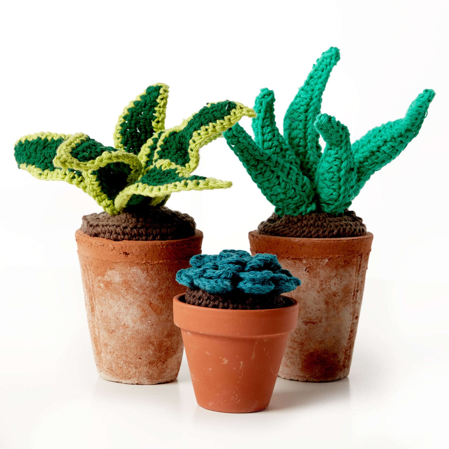 Crochet Succulent Patterns • Free Crochet Patterns and Tutorials